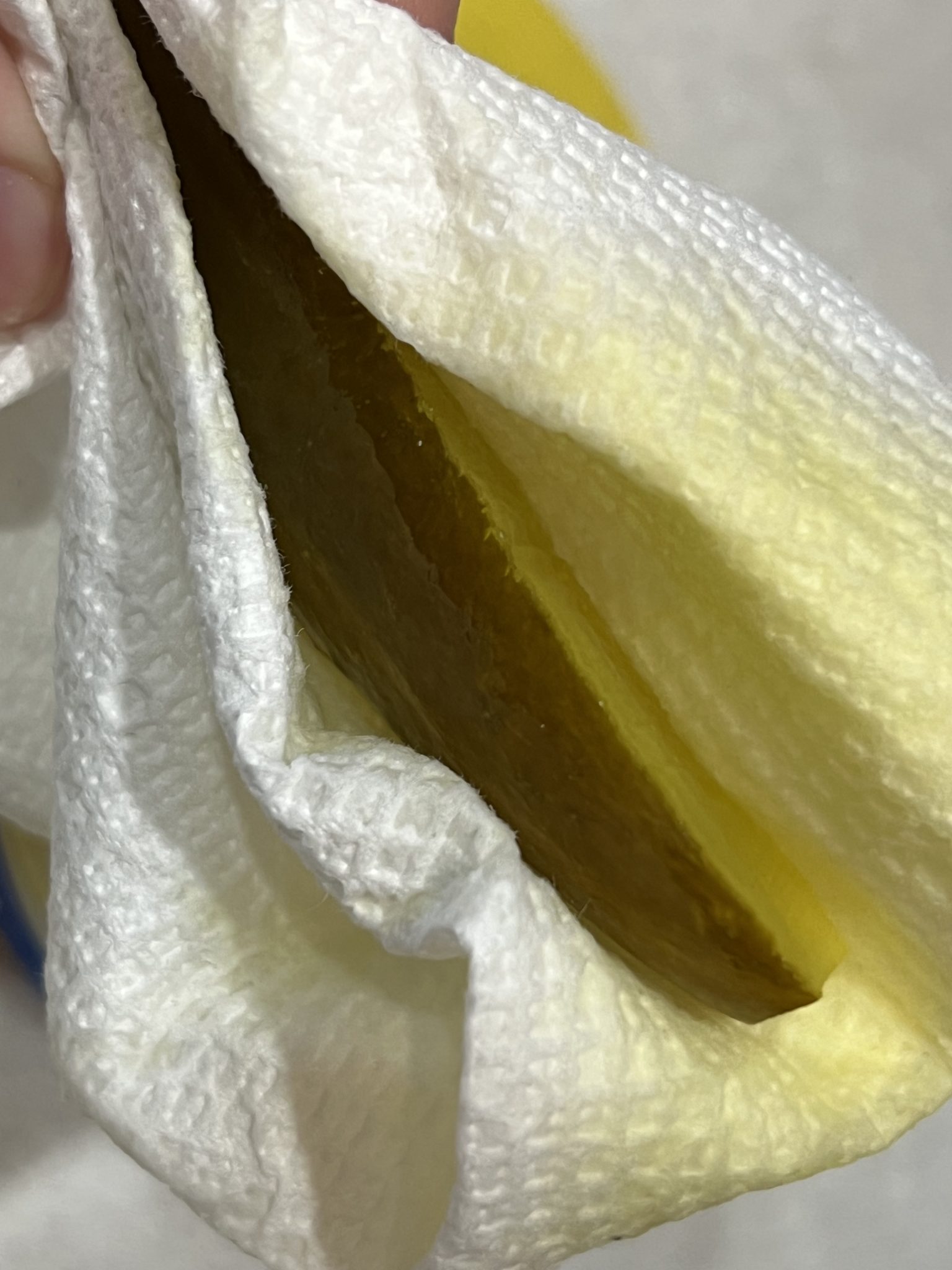 Minnesota Sushi Recipe (Made in St. Paul, MN)